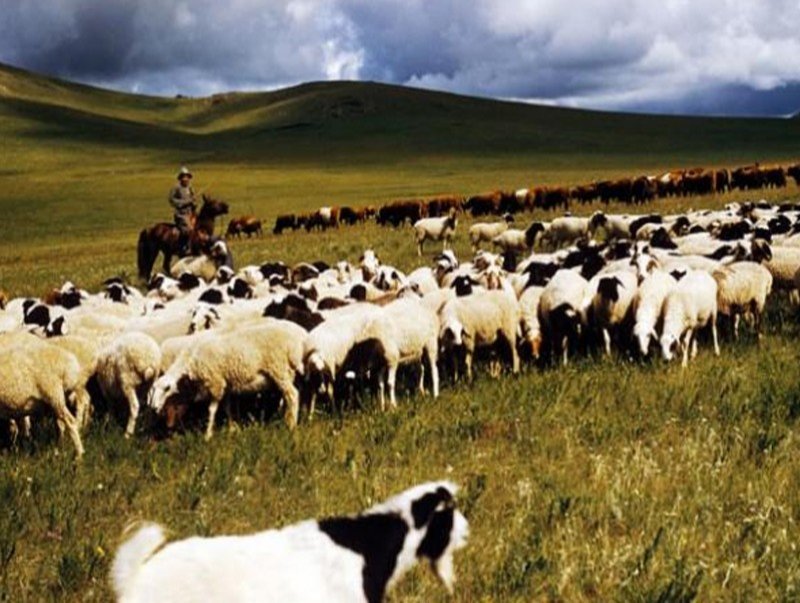 Мал аж ахуйн хууль хоорондын давхардал хийдэл зөрчлийг арилгах хуулийн төслүүдийг УИХ д өргөн